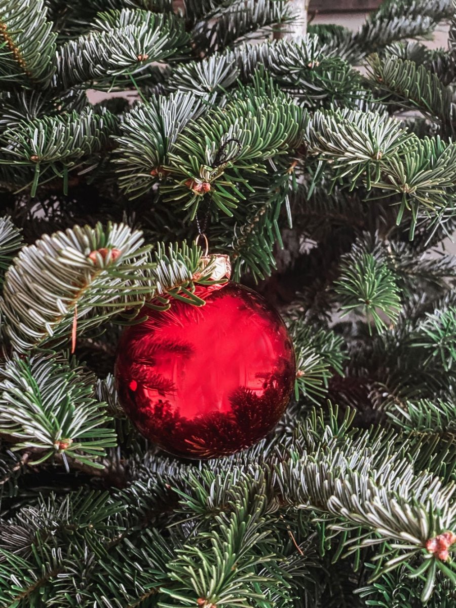 Red Christmas Balls in 16-Pack - Shiny and Matt Finish
