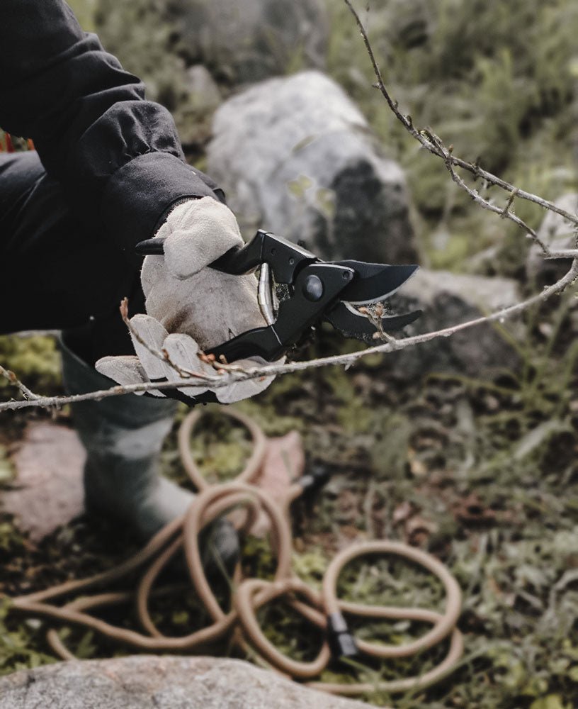 Secateurs Basic - High quality secateurs for precision cuts